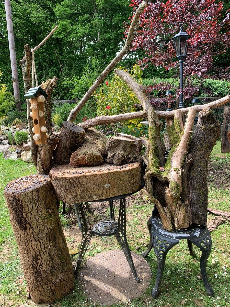 Woodland bird table – Young Naturalist: Izzy Fry