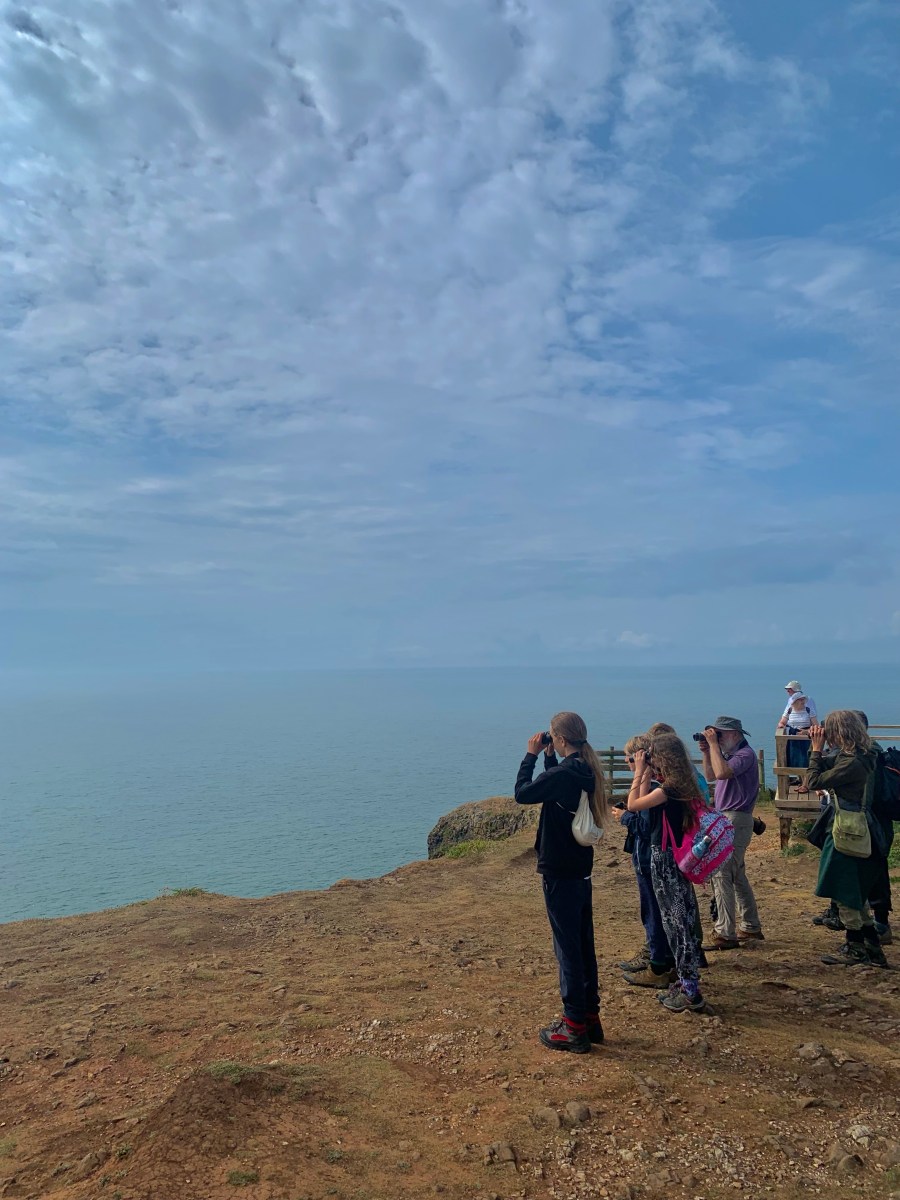 BTO bird camp Wales – Young Naturalist: Izzy Fry